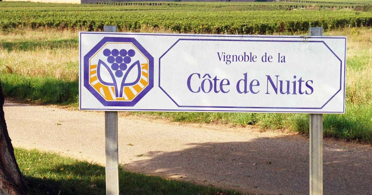 Côte de nuit sightseeing & wine tasting / Authentic Europe