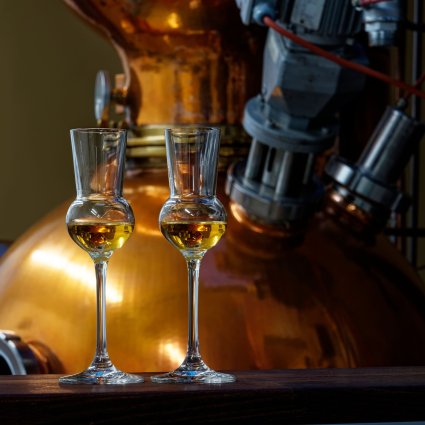 Hop-on/Hop-off Tour & Titanic Distillery Combi / Authentic Europe