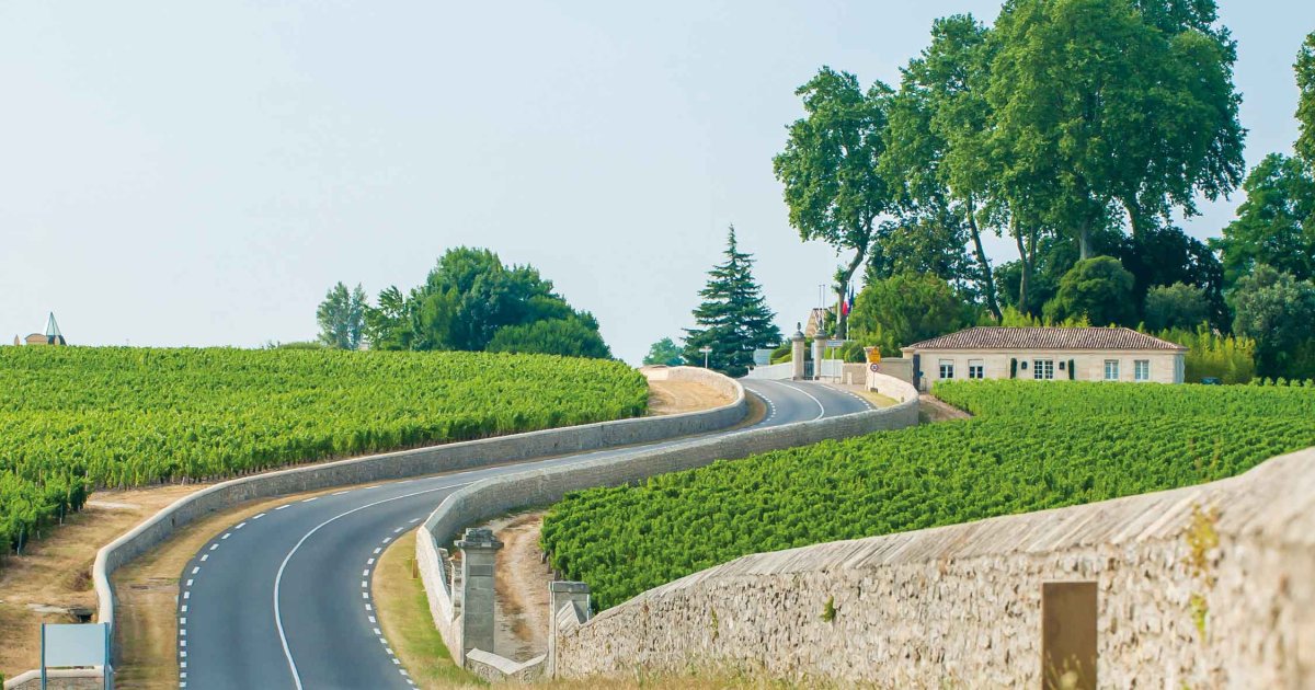 Médoc Wine Day Tour from Bordeaux / Authentic Europe