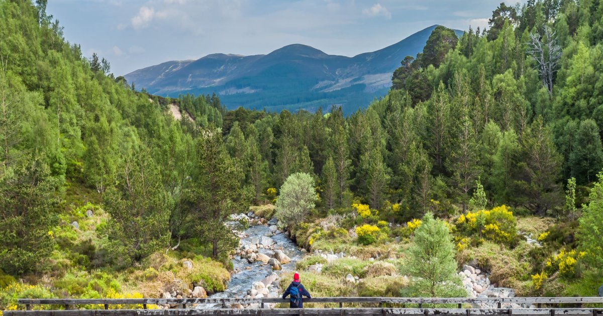 Scottish Highlands Private tour from Edinburgh / Authentic Europe