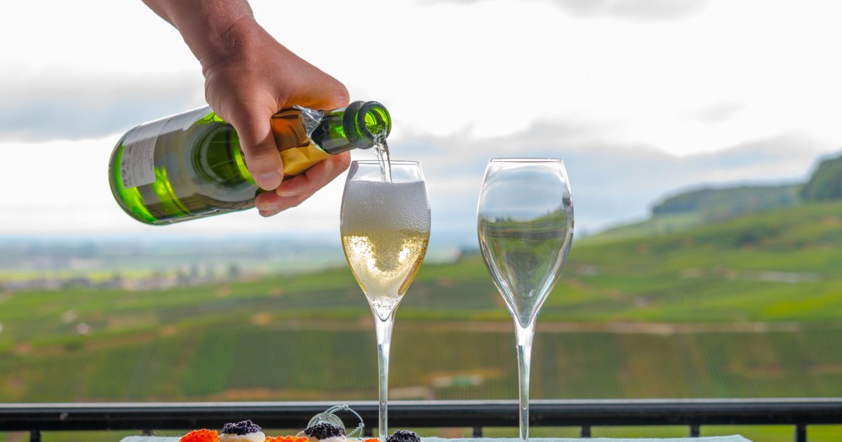 Champagne: highlights & vineyards / Authentic Europe